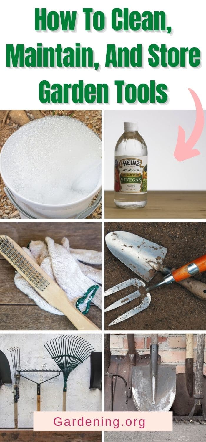 How To Clean, Maintain, And Store Garden Tools - Gardening