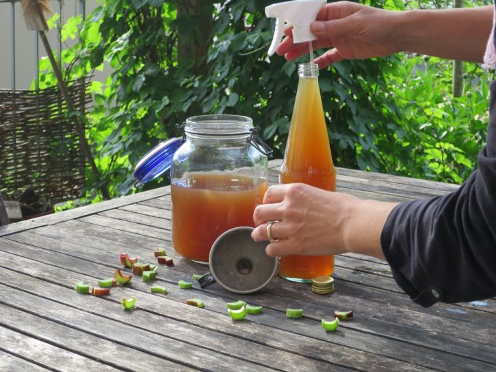 11 DIY Homemade Plant Fertilizers (With Recipes)greenstories