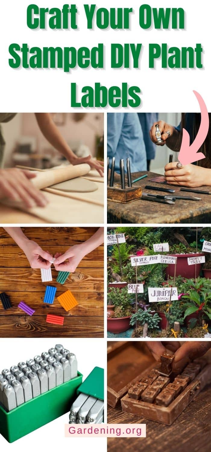 Craft Your Own Stamped DIY Plant Labels - Gardening
