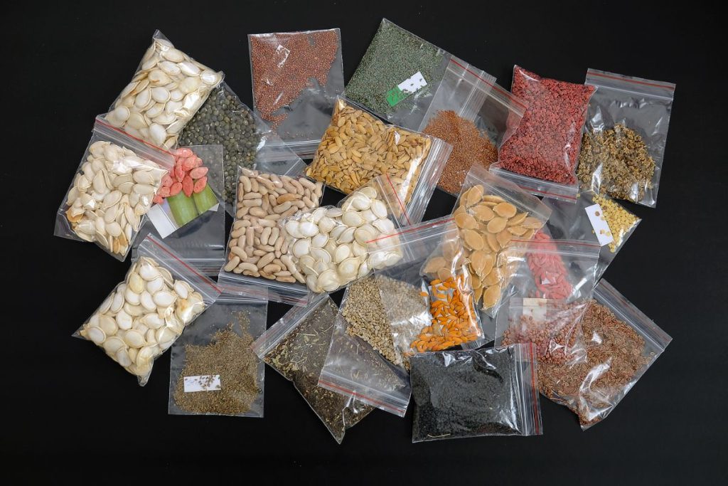 A Beginning Gardener’s Guide to Ordering Seeds - Gardening