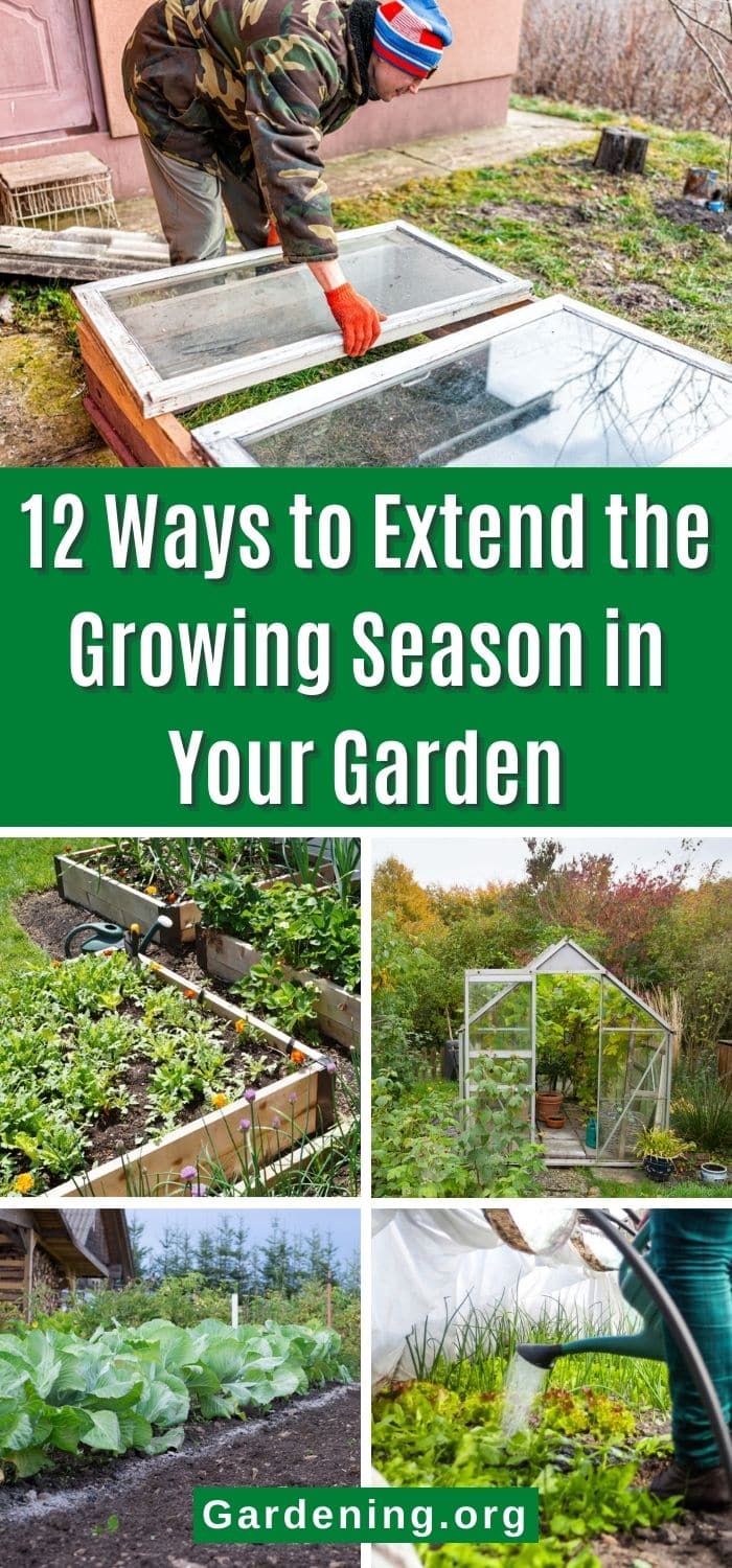 12 Ways to Extend the Growing Season in Your Garden