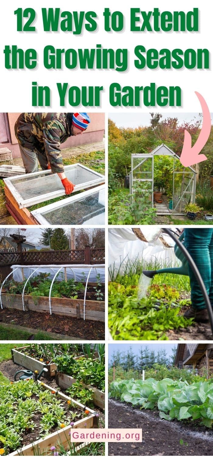 12 Ways to Extend the Growing Season in Your Garden