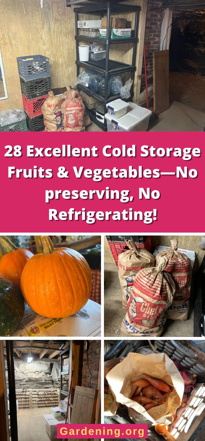 28 Cold Storage Fruits & Vegetables—No Preserving, No Refrigerating!