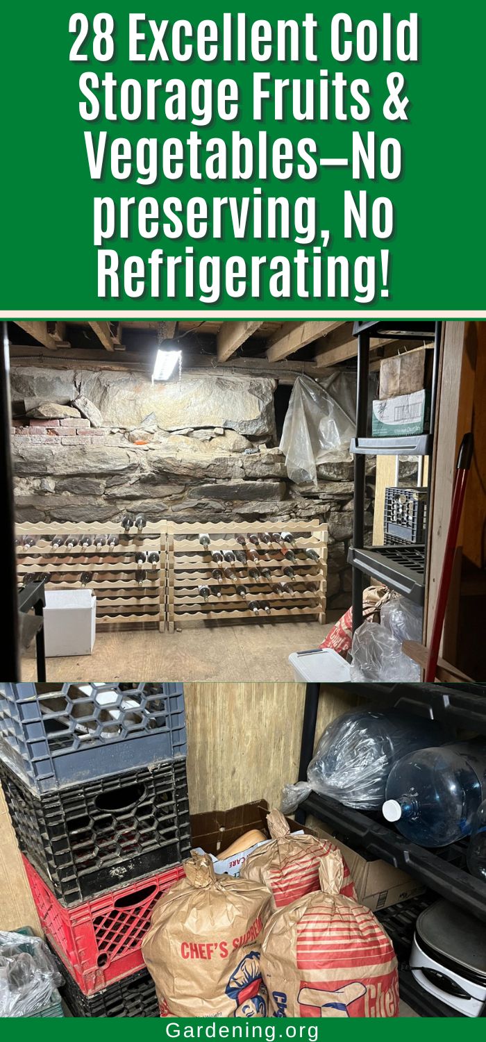 28 Cold Storage Fruits & Vegetables—No Preserving, No Refrigerating!