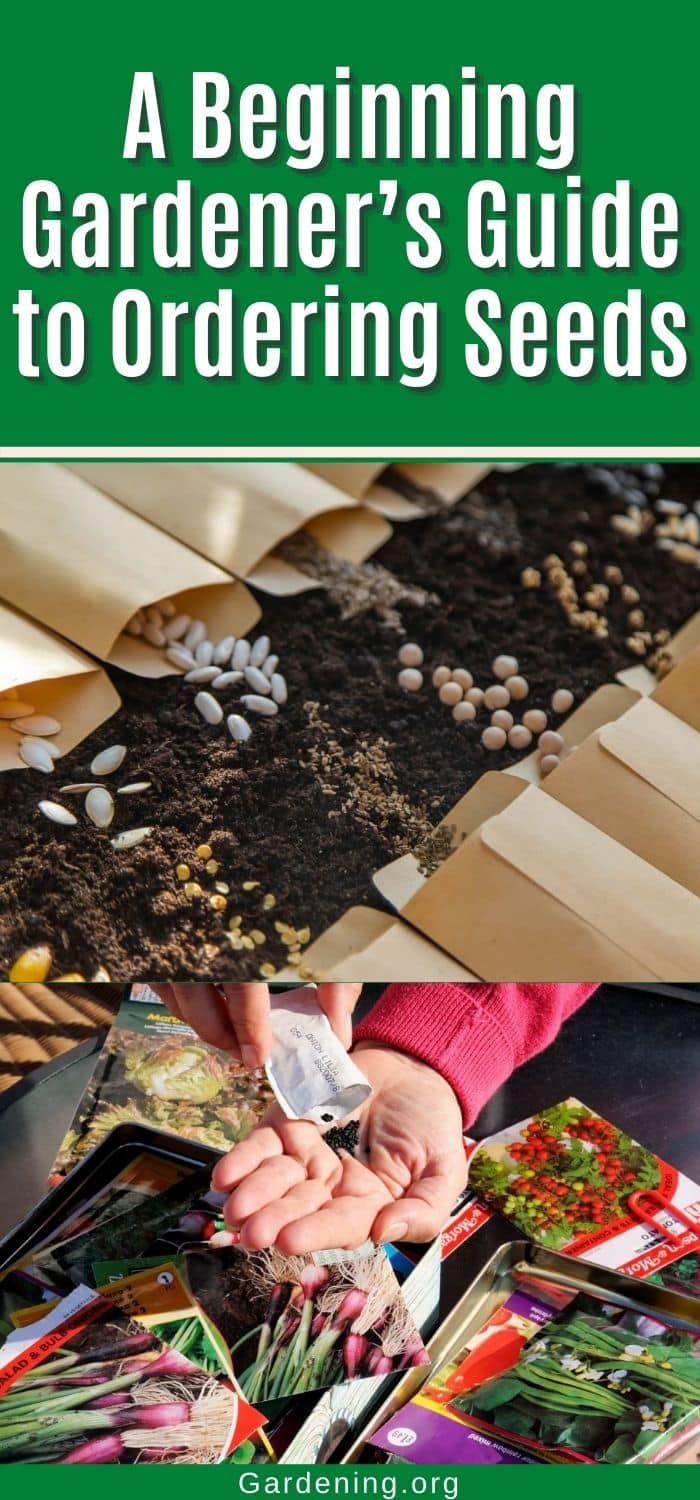 A Beginning Gardener’s Guide to Ordering Seeds - Gardening