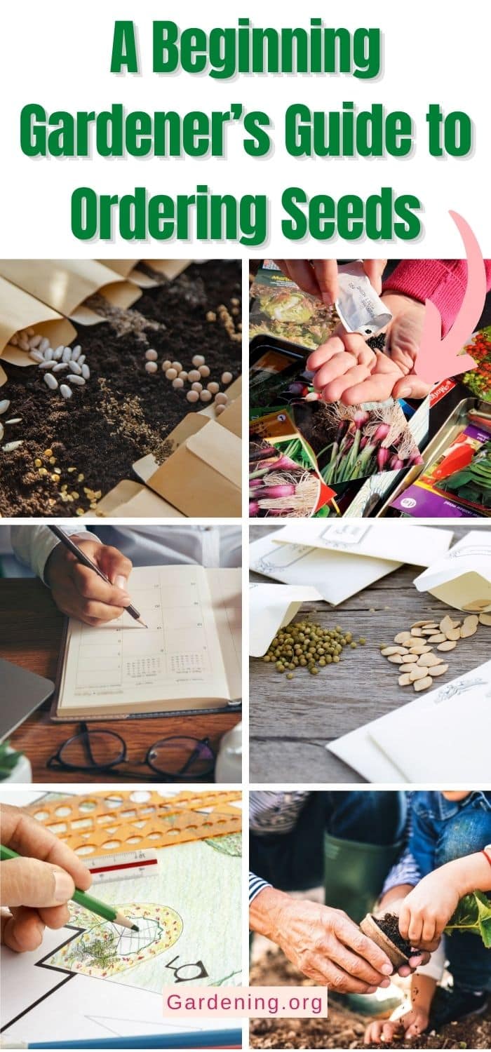 A Beginning Gardener’s Guide to Ordering Seeds - Gardening