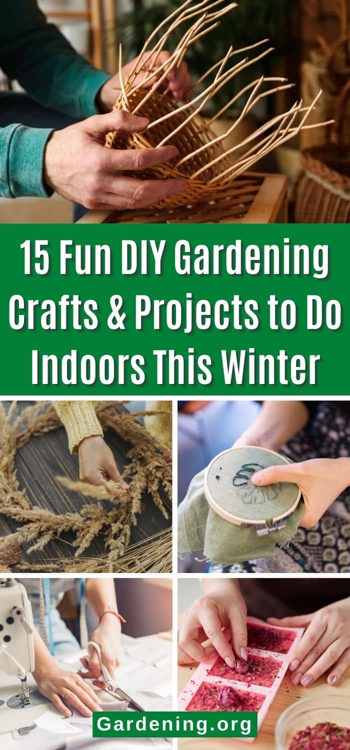15 Fun DIY Gardening Crafts & Projects to Do Indoors This Winter ...