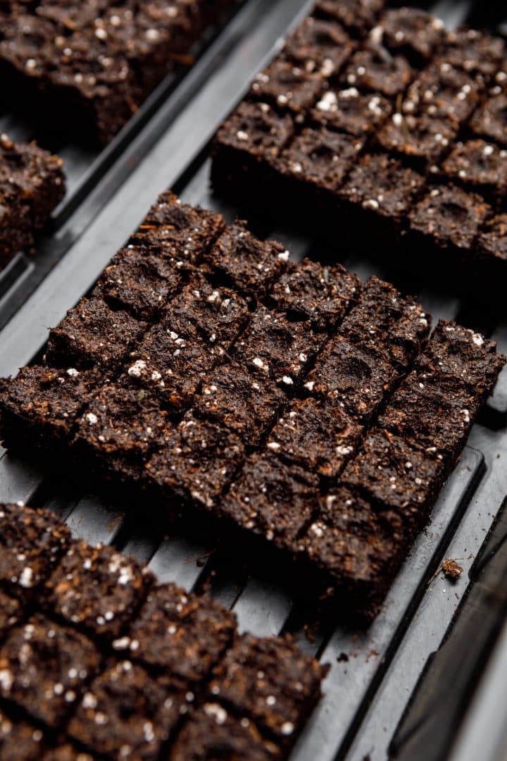 Soil Blocking 101: How to Use this Eco-Friendly Gardening Technique