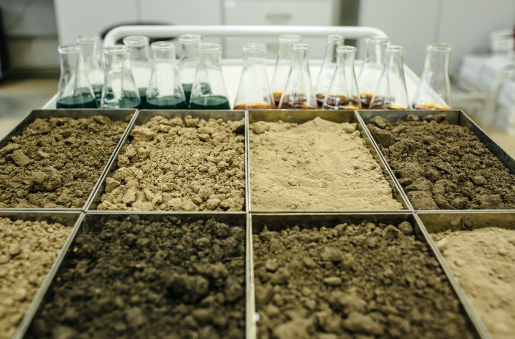 7 Tips for Gardening in Sandy Soil - Gardening