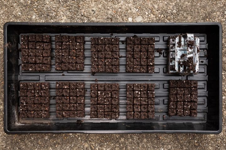 Soil Blocking 101: How to Use this Eco-Friendly Gardening Technique