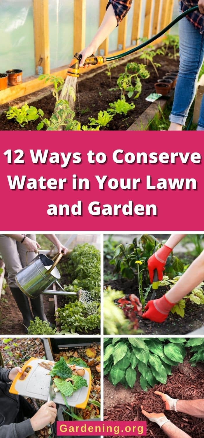 12 Ways to Conserve Water in Your Lawn and Garden - Gardening