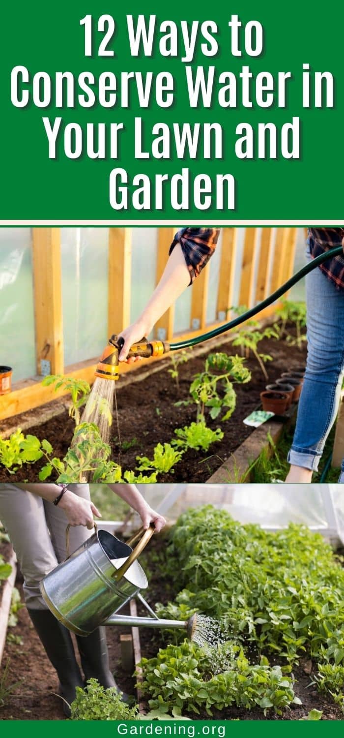 12 Ways to Conserve Water in Your Lawn and Garden - Gardening