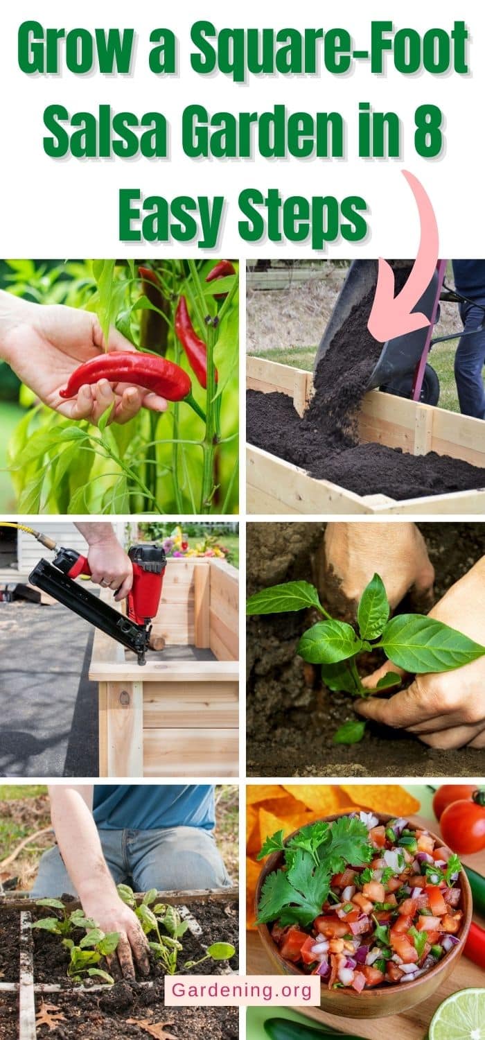 Grow a Square-Foot Salsa Garden in 8 Easy Steps - Gardening