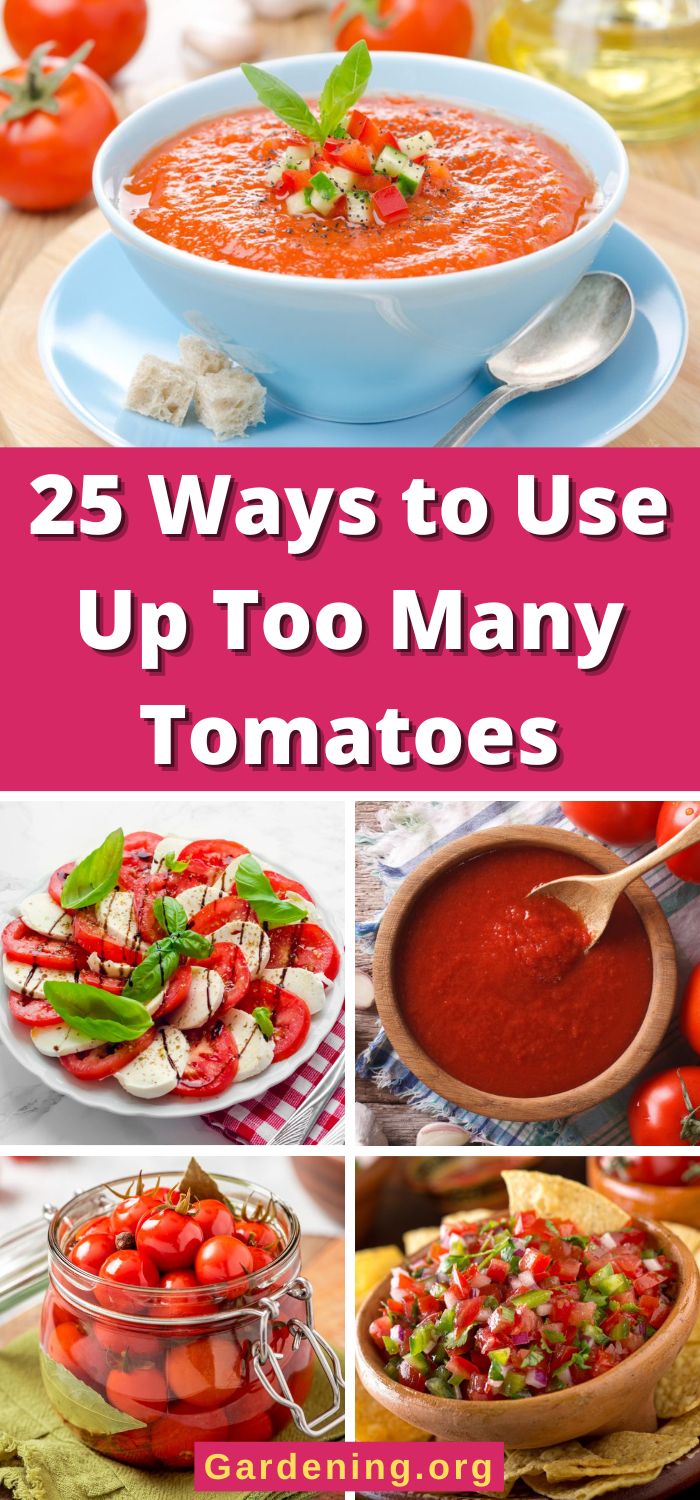 25 Ways to Use Up Too Many Tomatoes - Gardening