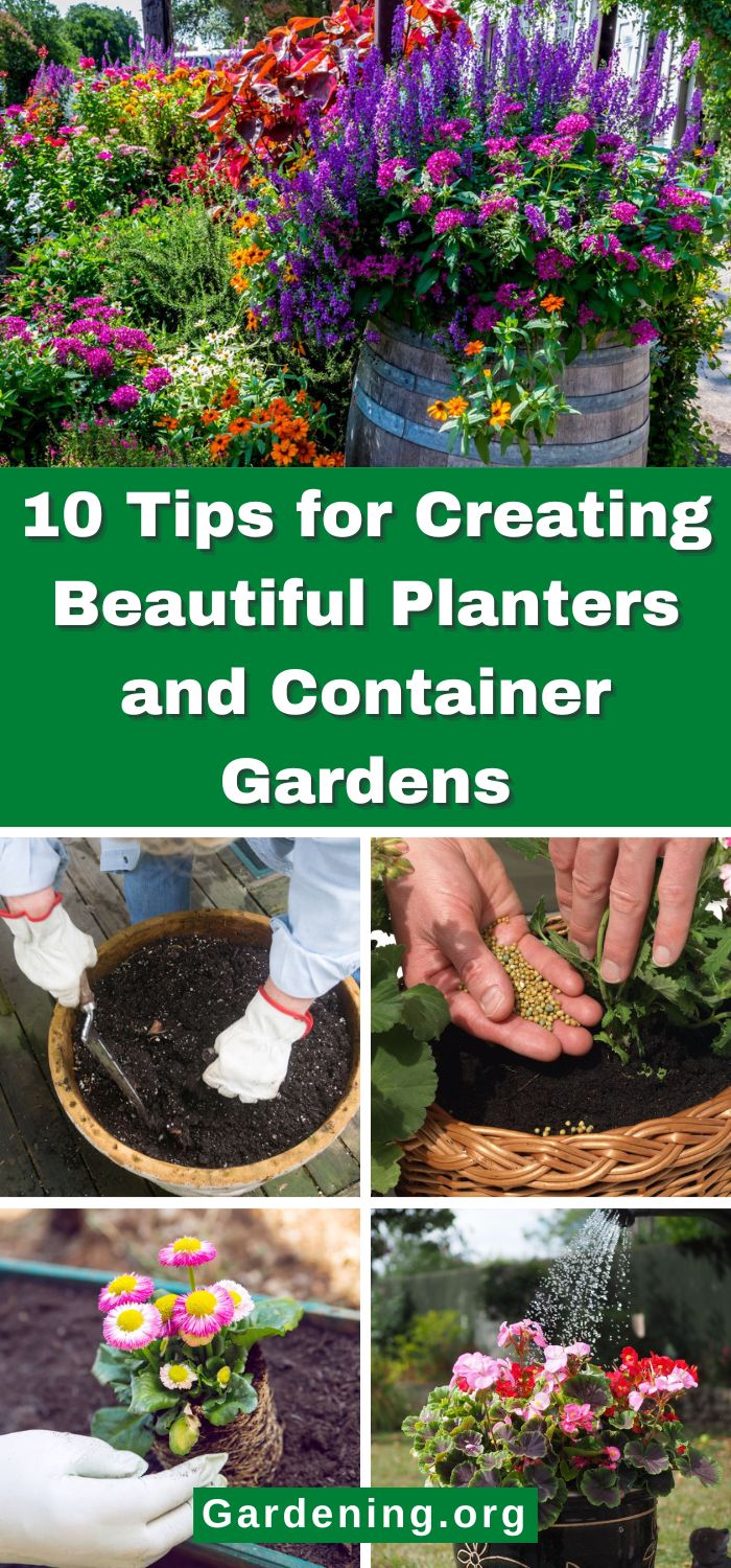 10 Tips for Creating Beautiful Planters and Container Gardens - Gardening