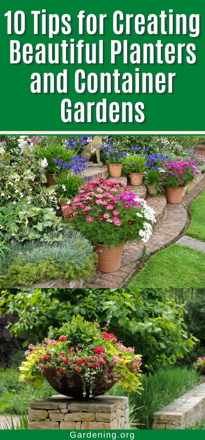 10 Tips for Creating Beautiful Planters and Container Gardens - Gardening