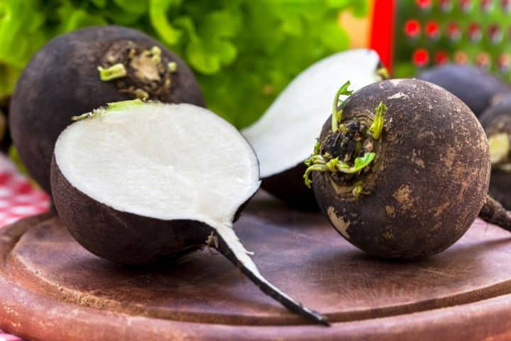20 Radishes to Grow from Spring through Fall - Gardening