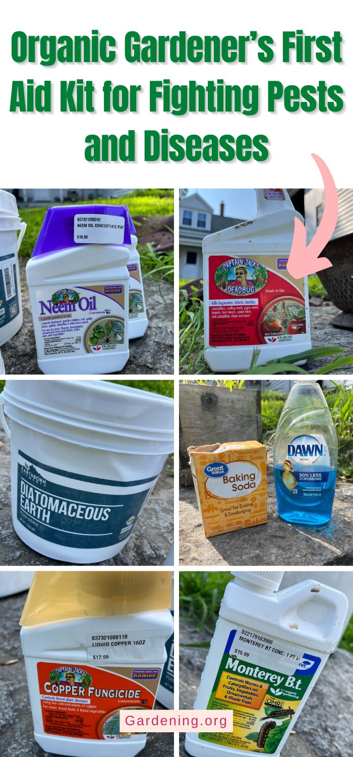 Organic Gardener’s First Aid Kit for Fighting Pests and Diseases ...