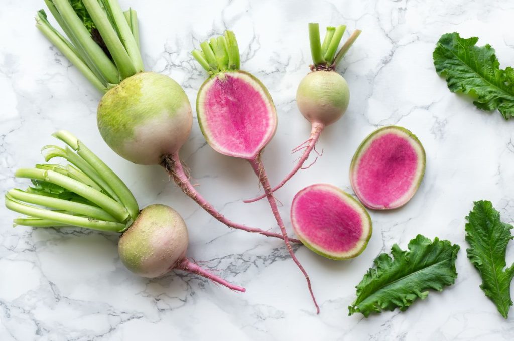 20 Radishes to Grow from Spring through Fall - Gardening