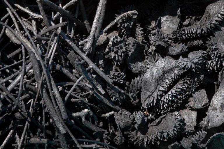 Biochar 101: How to Make and Use Biochar in Your Garden - Gardening