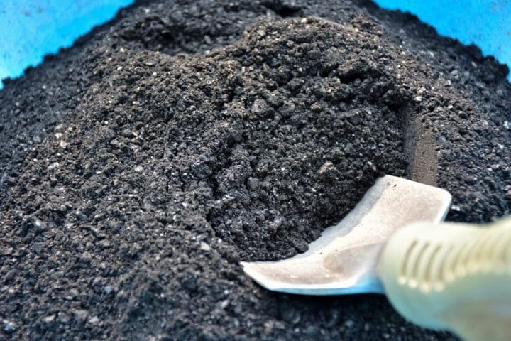 Biochar 101: How to Make and Use Biochar in Your Garden - Gardening