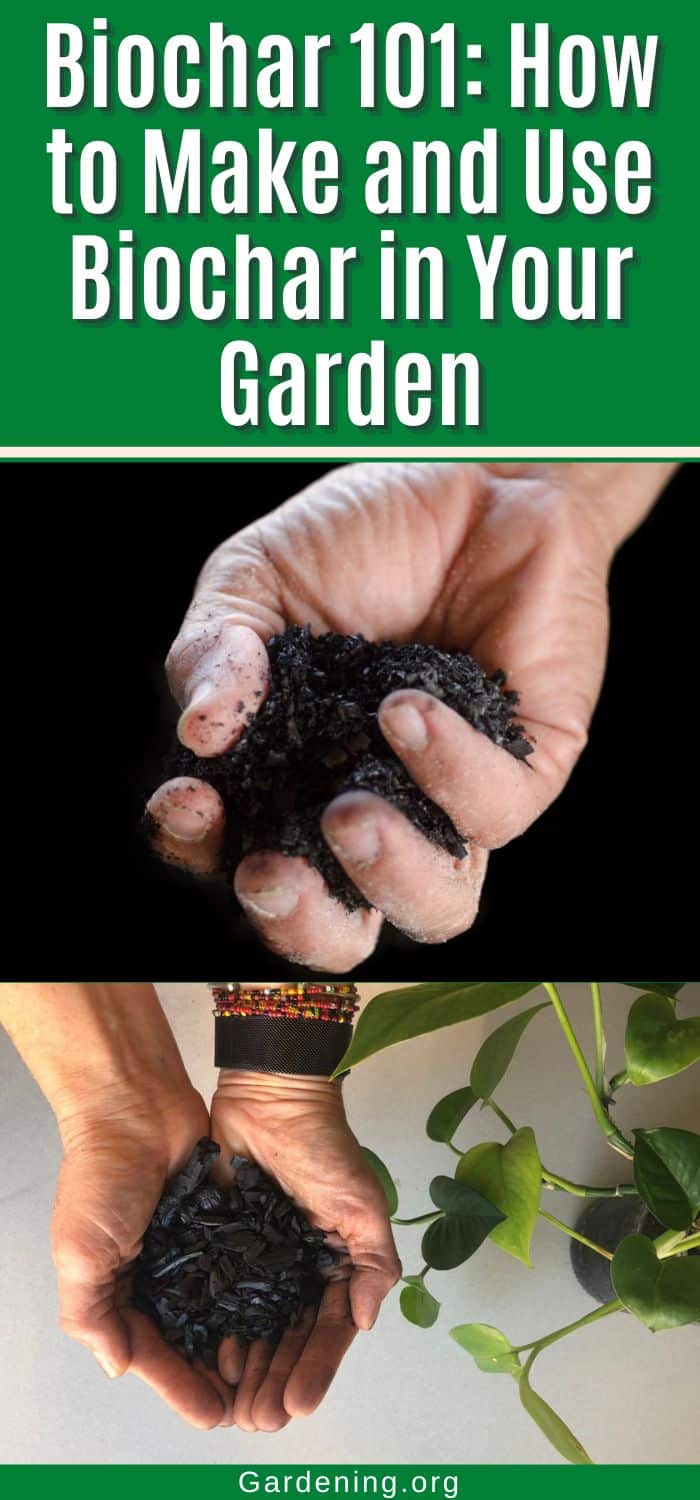 Biochar 101: How to Make and Use Biochar in Your Garden - Gardening