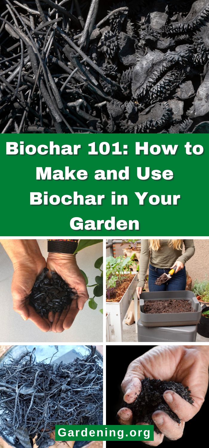 Biochar 101: How to Make and Use Biochar in Your Garden - Gardening