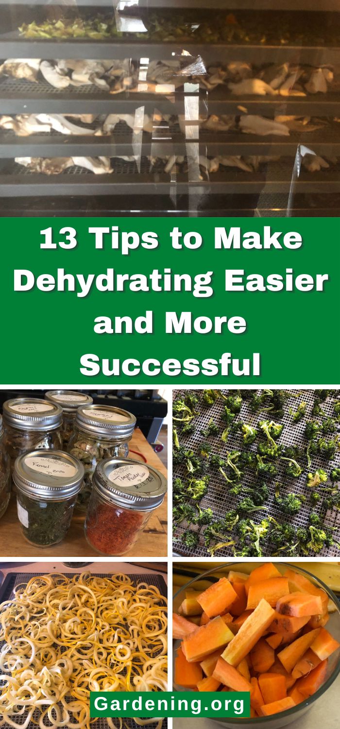 13 Tips to Make Dehydrating Easier and More Successful - Gardening