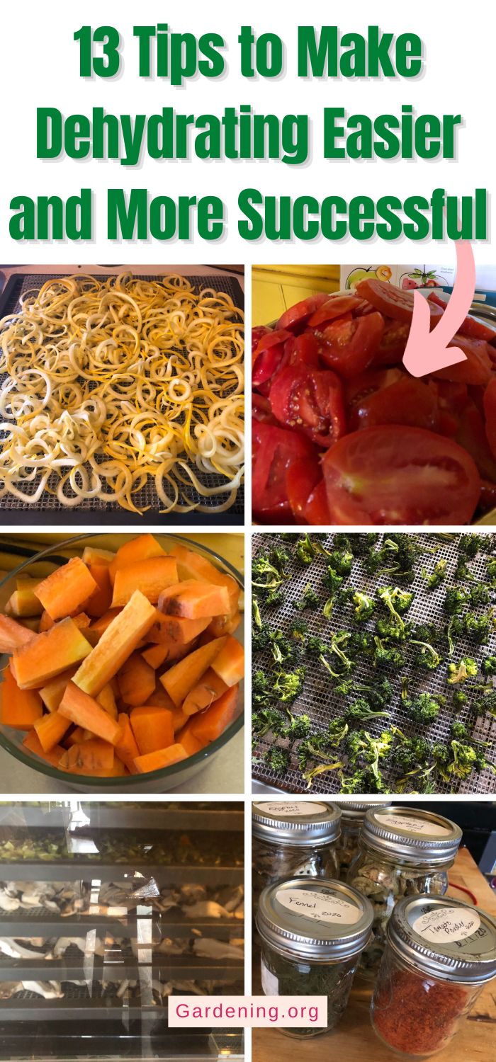 13 Tips to Make Dehydrating Easier and More Successful - Gardening