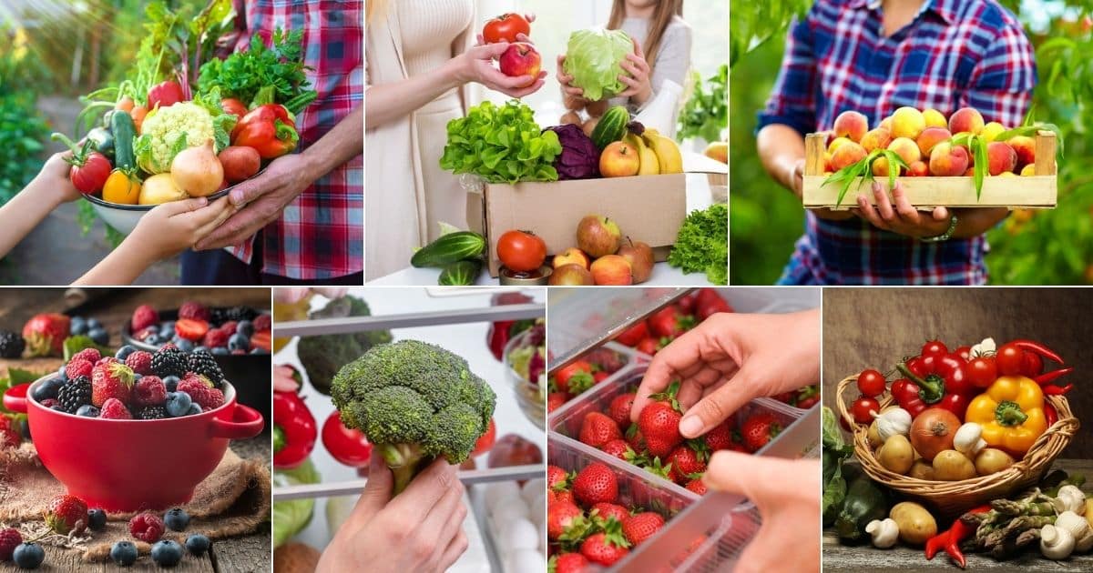 30 Tips to Store Your Fruit and Vegetable Harvests Correctly