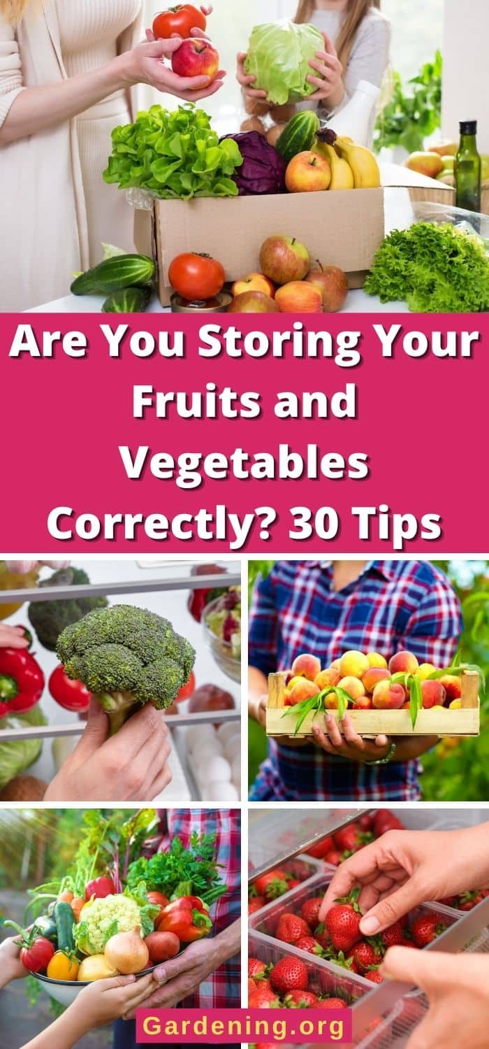 30 Tips to Store Your Fruit and Vegetable Harvests Correctly