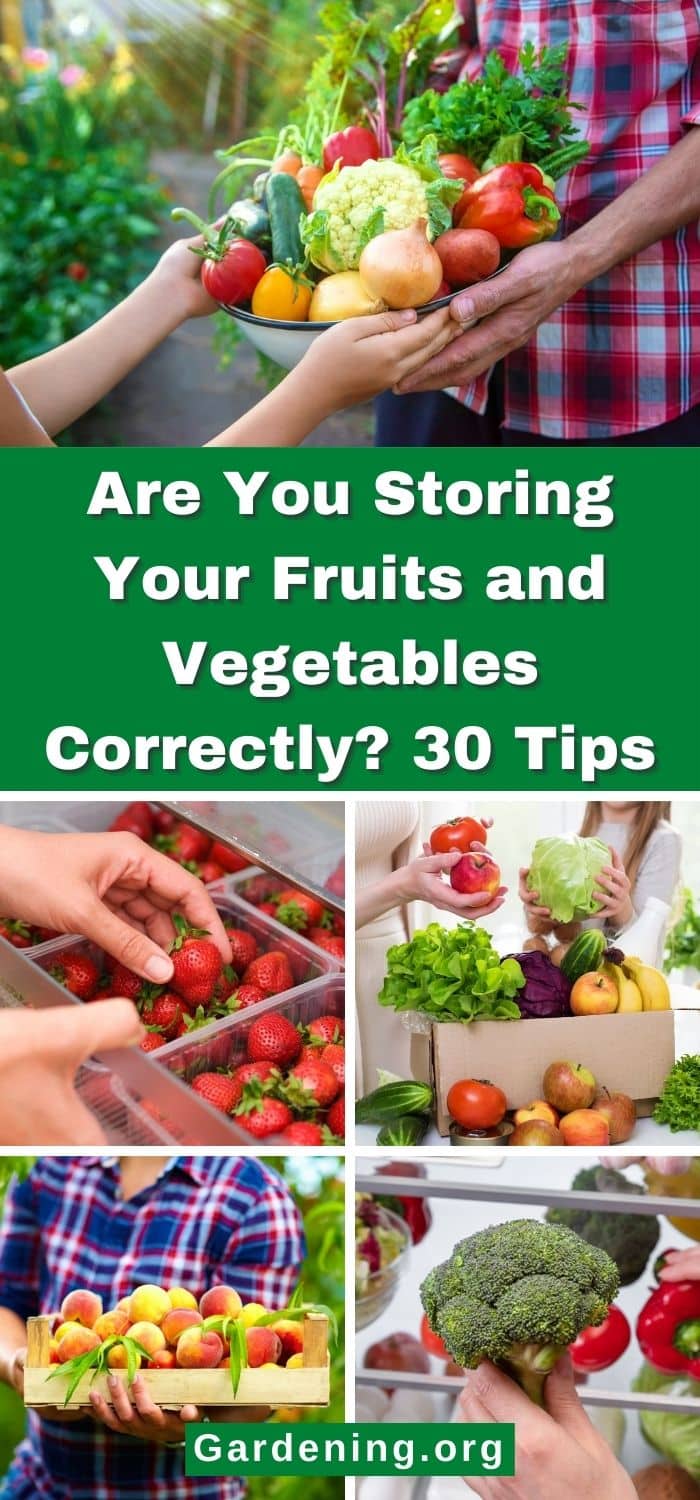 30 Tips to Store Your Fruit and Vegetable Harvests Correctly
