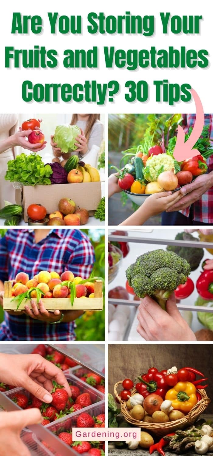 30 Tips to Store Your Fruit and Vegetable Harvests Correctly