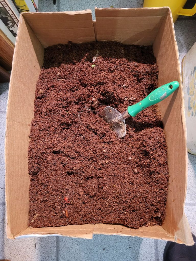 Japanese Cardboard Box Indoor Composting System (Complete Guide ...