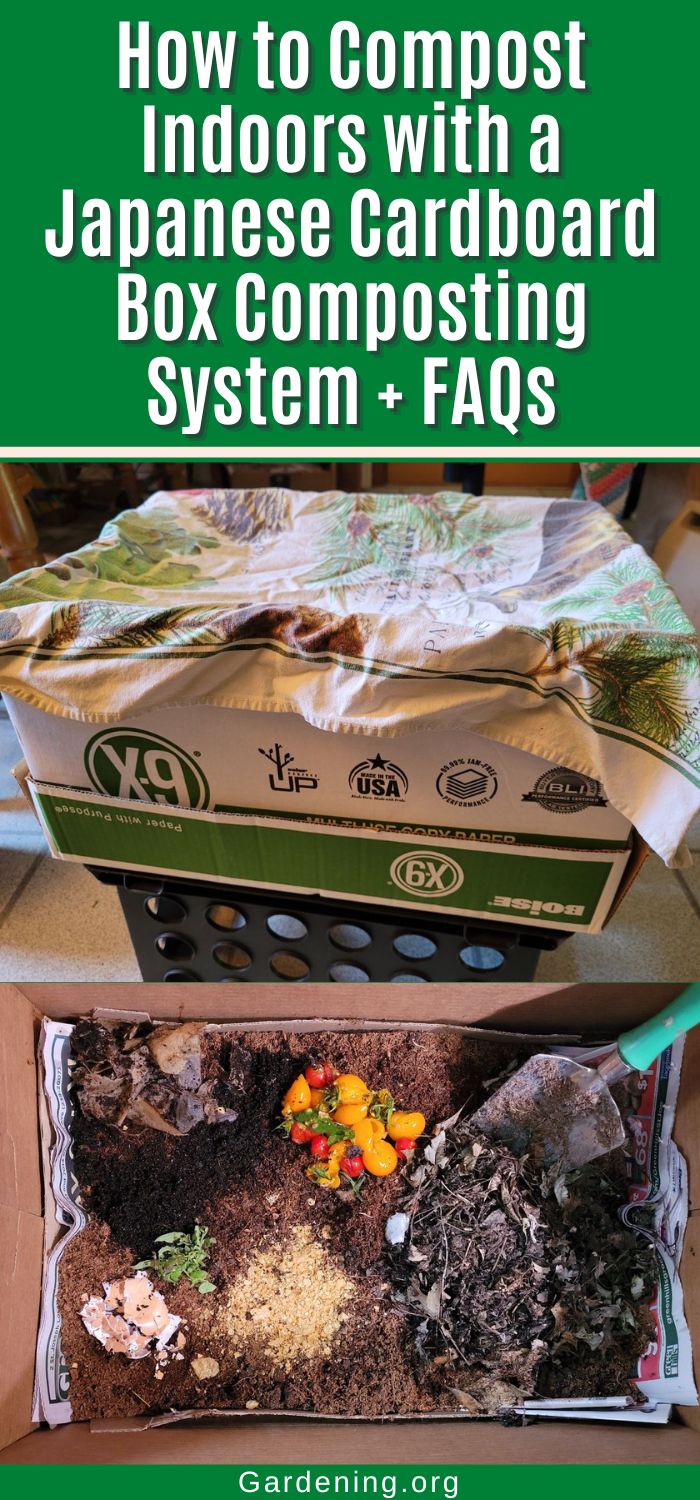 Japanese Cardboard Box Indoor Composting System (Complete Guide ...