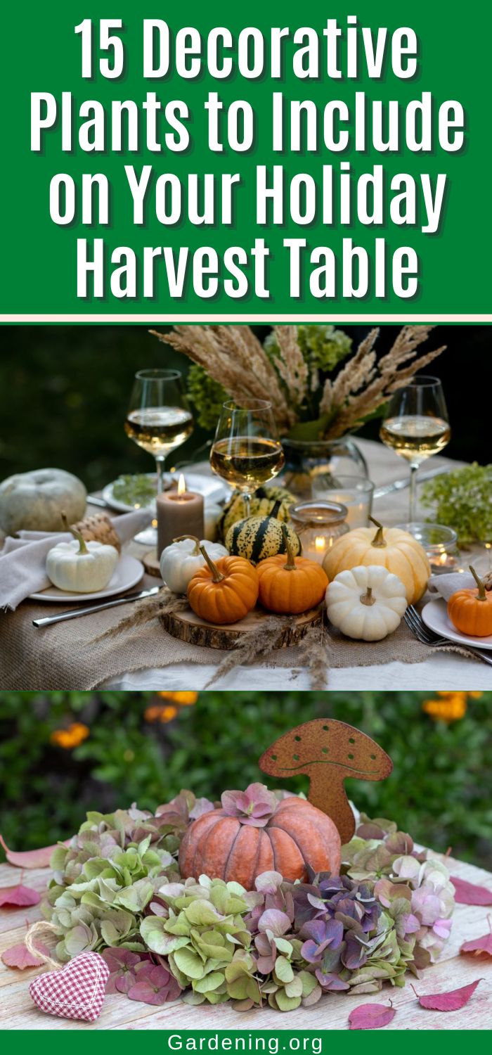 15 Plants to Use in Thanksgiving and Fall Decorations - Gardening