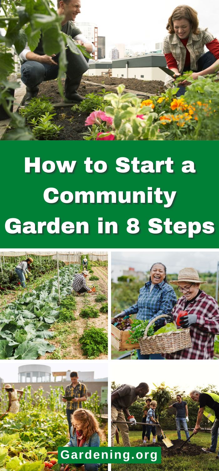 How to Start a Community Garden in 8 Steps - Gardening