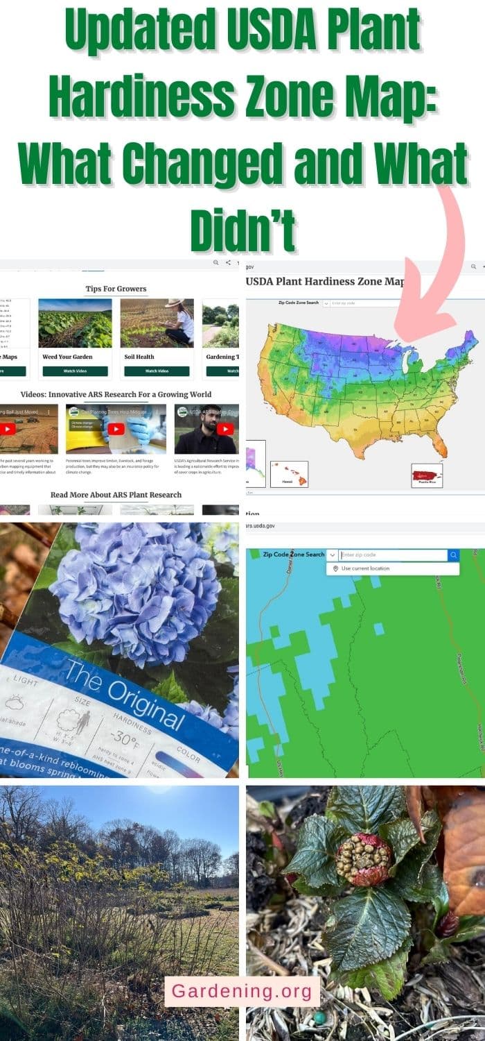 USDA Plant Hardiness Zones Updated, 2023 (What Changed!) - Gardening