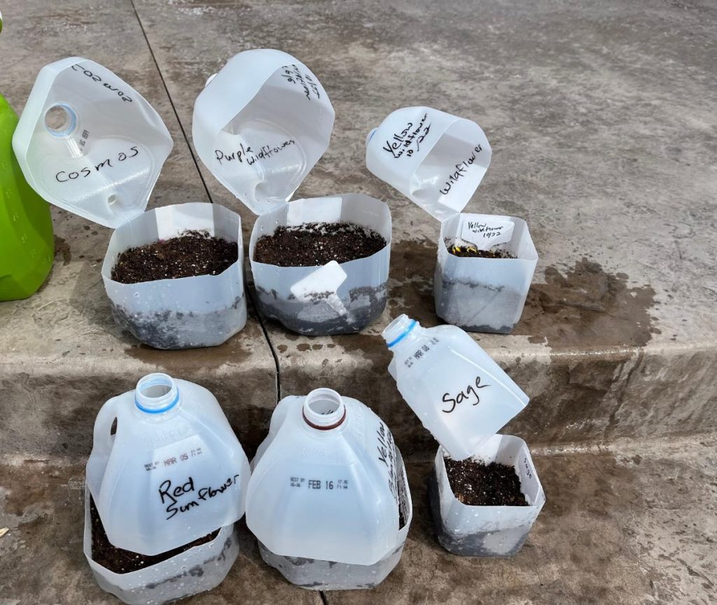 Intro to Winter Sowing: What It Is and Why Do It - Gardening