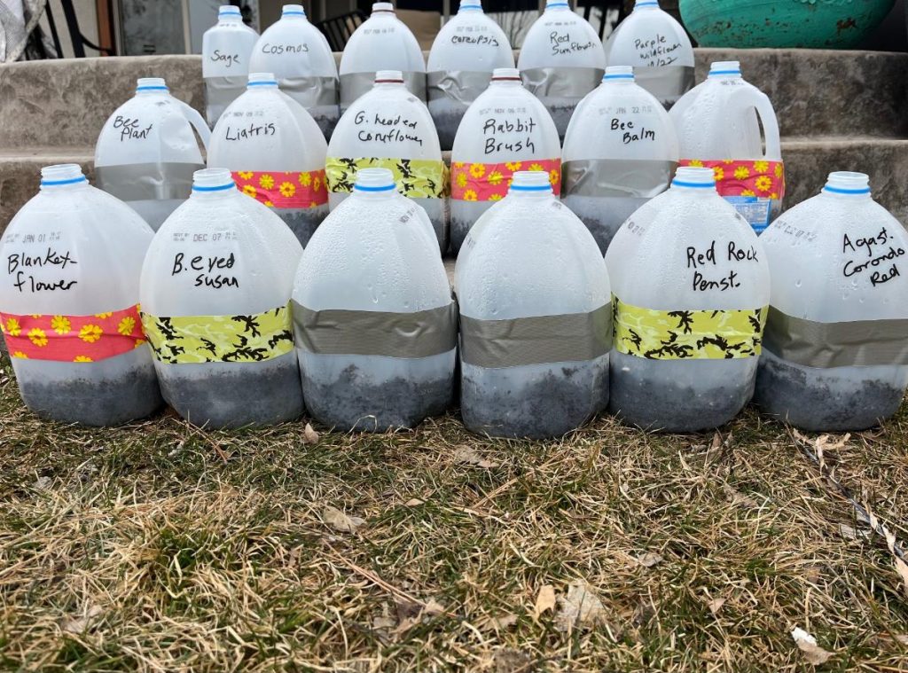 Intro to Winter Sowing: What It Is and Why Do It - Gardening