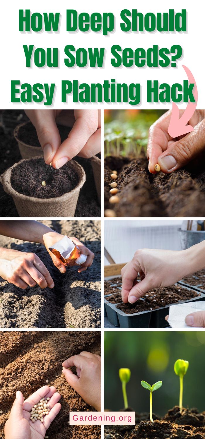 How Deep Should You Sow Seeds? (Easy Planting Hack) - Gardening