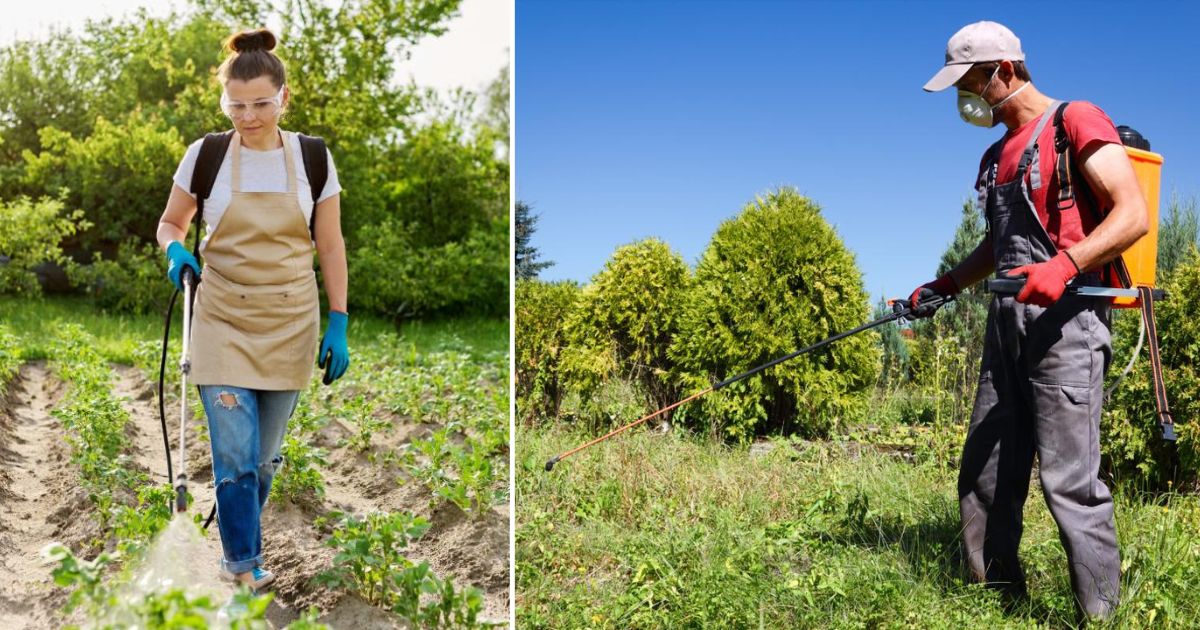 9 Steps to Safely Spray Weed Killer and Kill More Weeds - Gardening