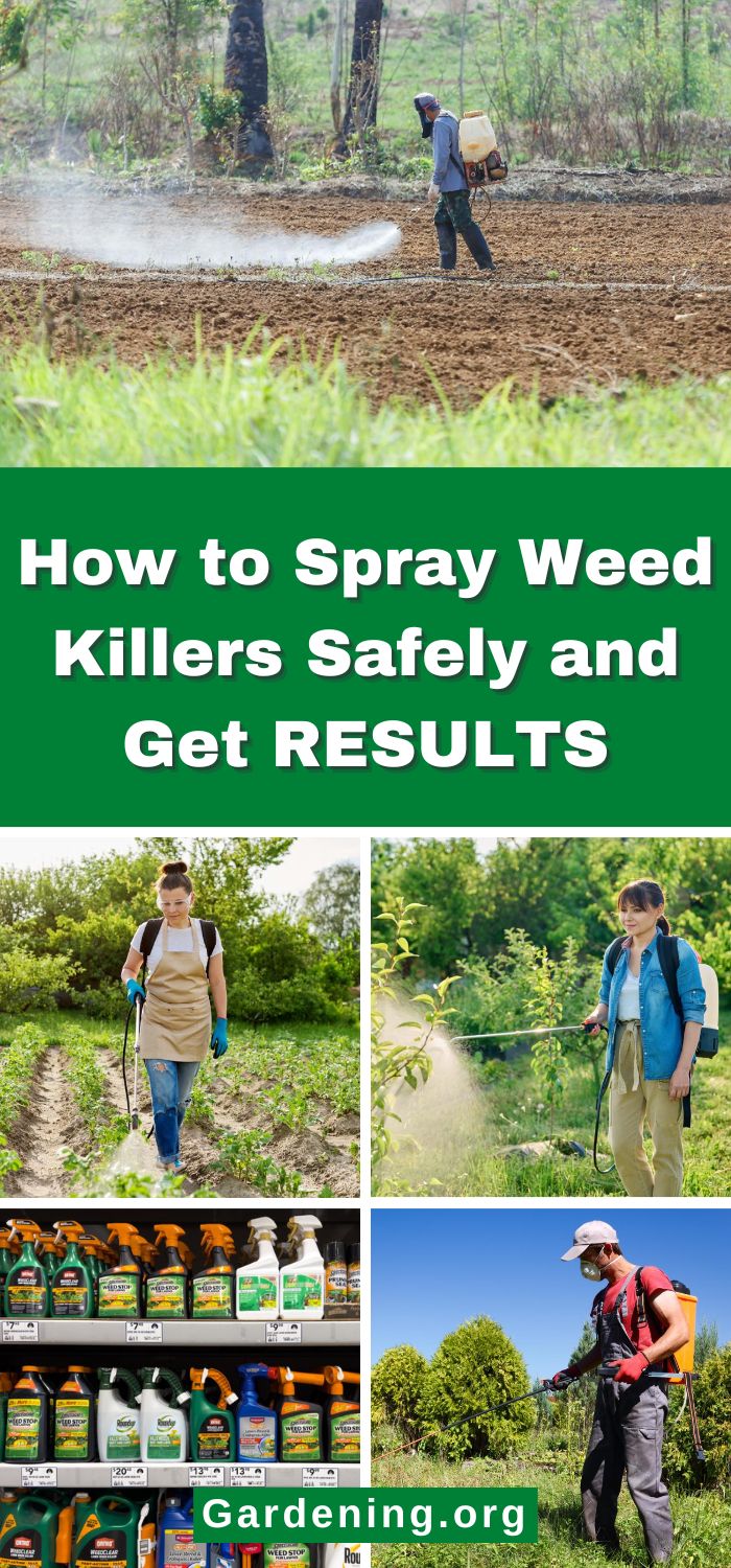 9 Steps to Safely Spray Weed Killer and Kill More Weeds - Gardening