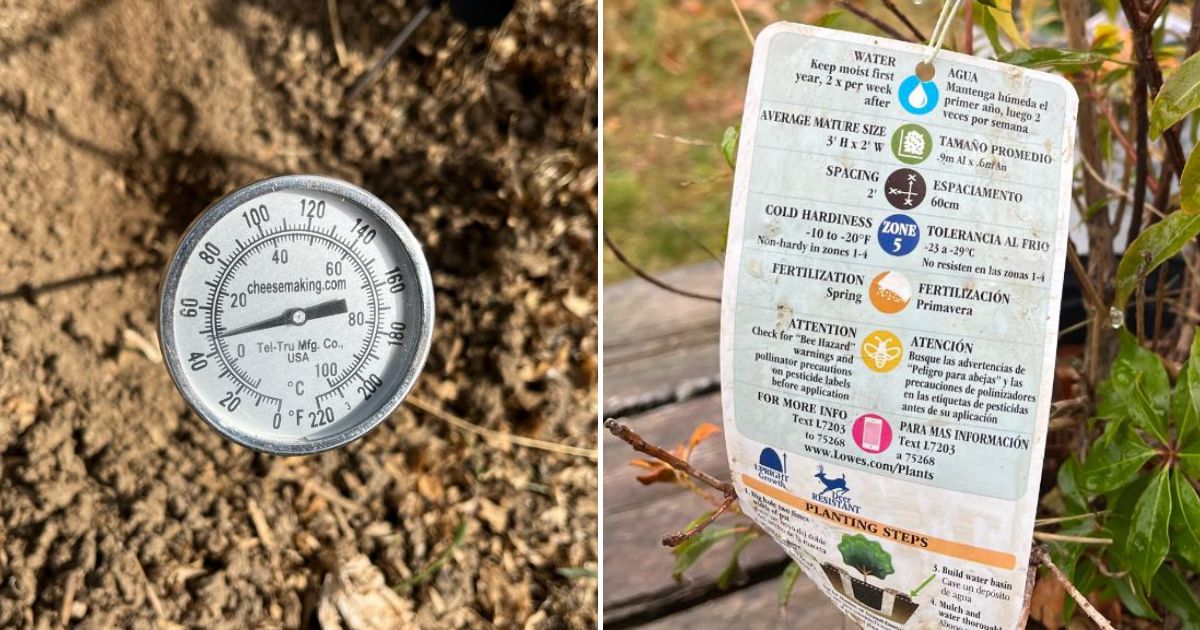 Why Soil Temperature Is Your Best Guide for Fall Planting - Gardening