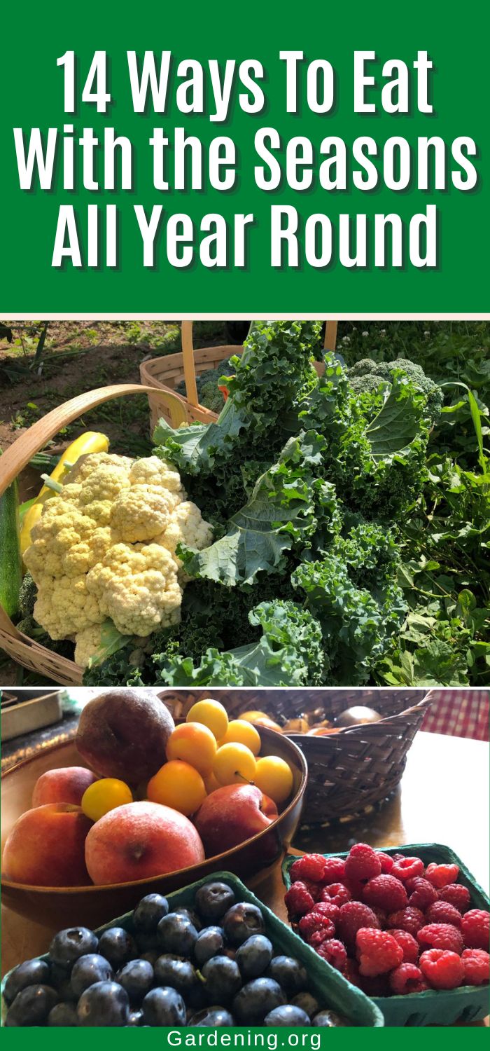 14 Ways To Eat With the Seasons All Year Round - Gardening