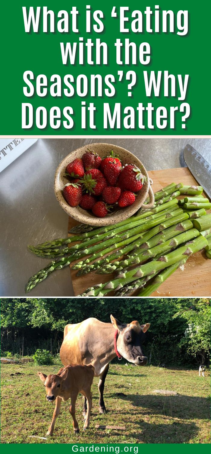 What is ‘Eating with the Seasons’? Why Does it Matter? - Gardening