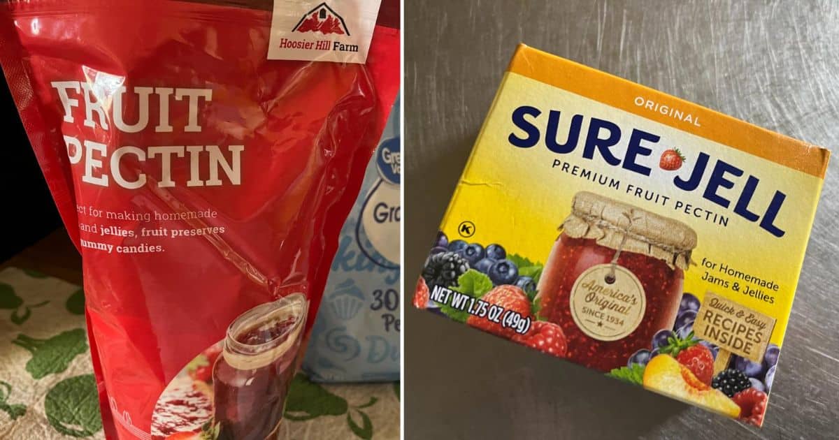 How to Convert Jelly and Jam Recipes to Use Bulk Pectin - Gardening