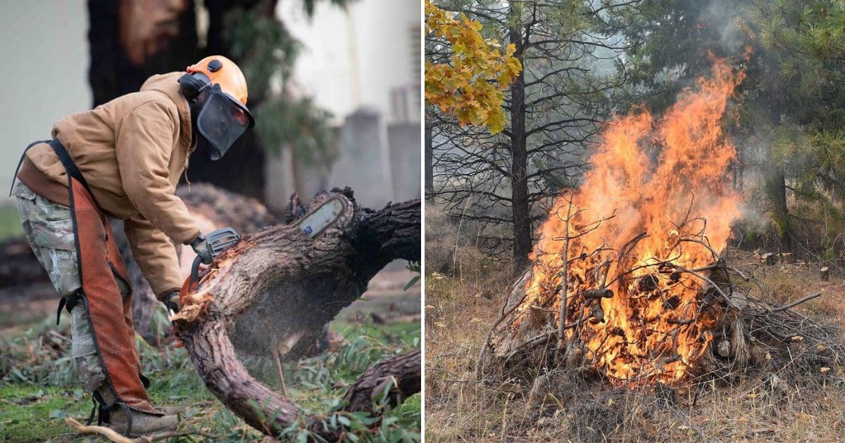 11 Tips for Dealing with Big Brush Piles - Gardening