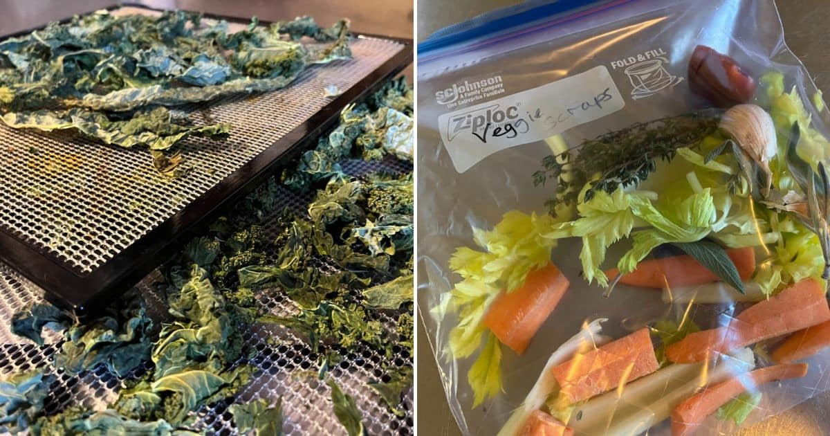 4 Quick and Easy Ways to Save Extra Greens - Gardening